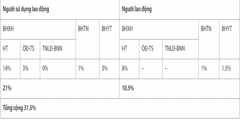 Tỷ lệ trích BHXH 2022 và những điều quan trọng cần biết | Bản Tin Tây Ninh