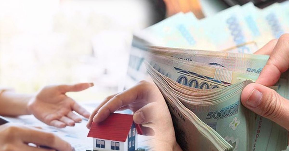 Một số lưu ý khi làm hợp đồng cọc đất bạn cần biết | Bản Tin Tây Ninh